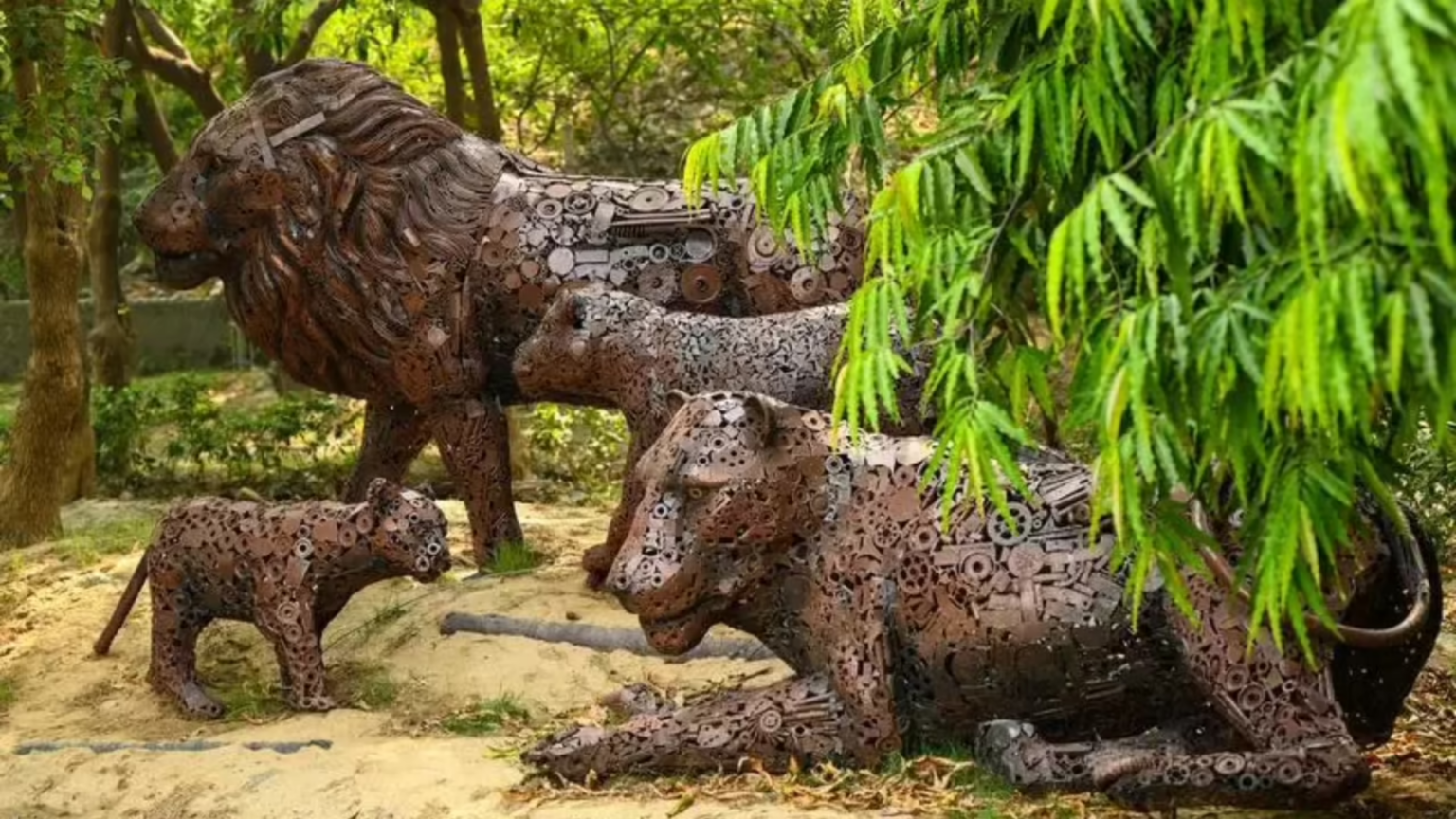 Interesting News: Find latest interesting news from India