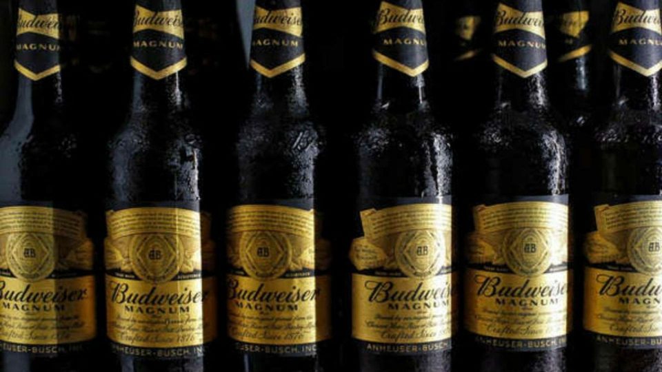 Top 17 Beer Brands In India With High Alcohol Percentage