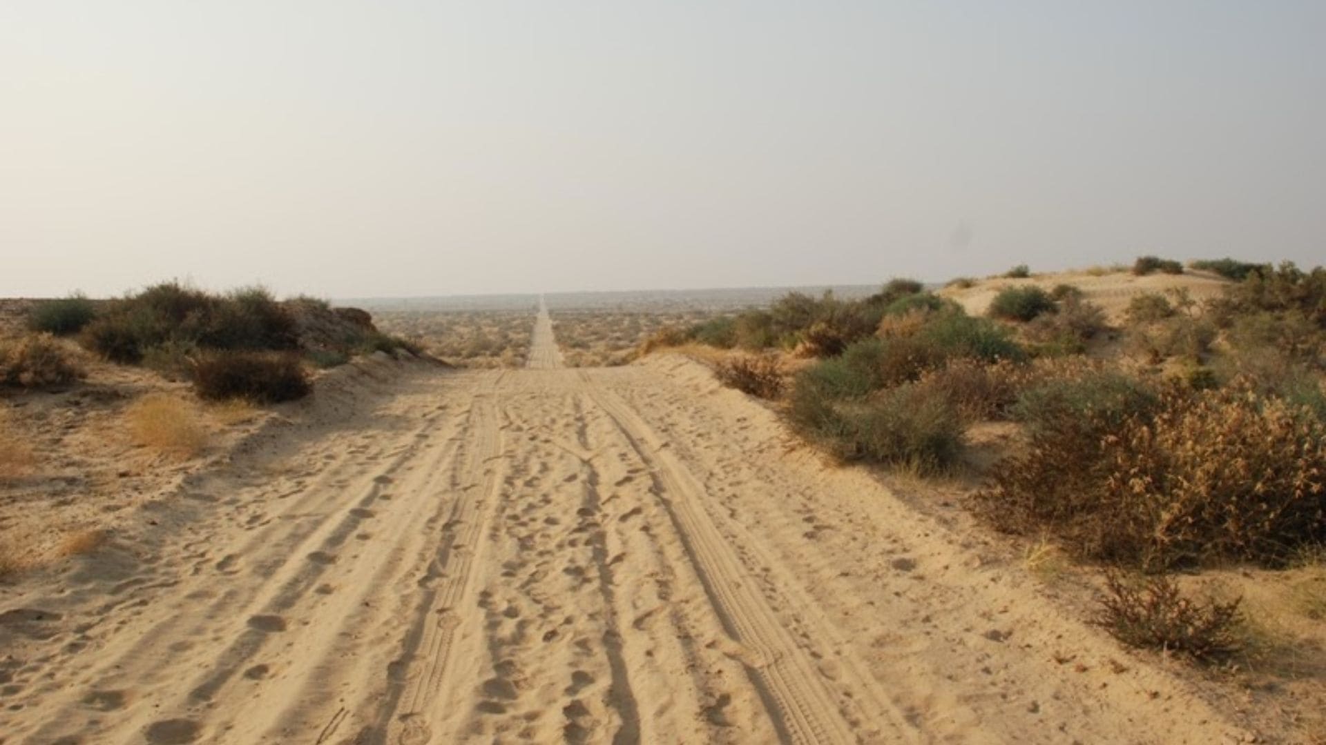 Exploring The Ancient Cities of The Indus Valley Civilization - Viral Bake