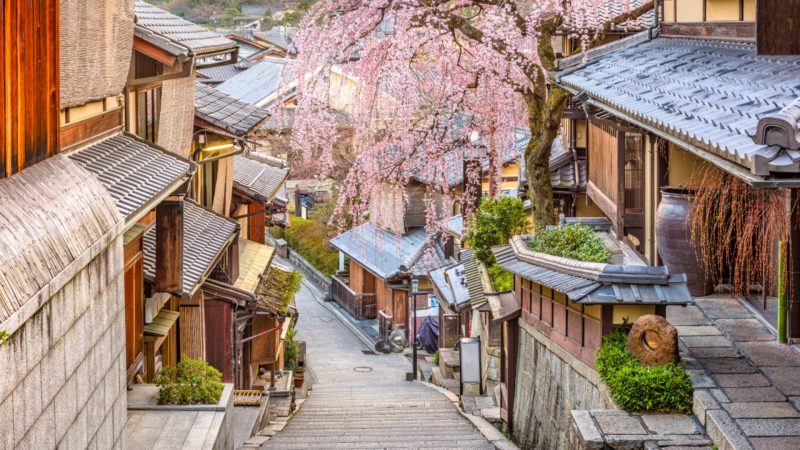 Japan Introduces New E-Visa System for Indian Citizens